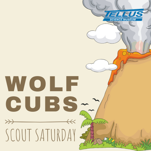 About Us - Tellus Science Museum in Cartersville, GA