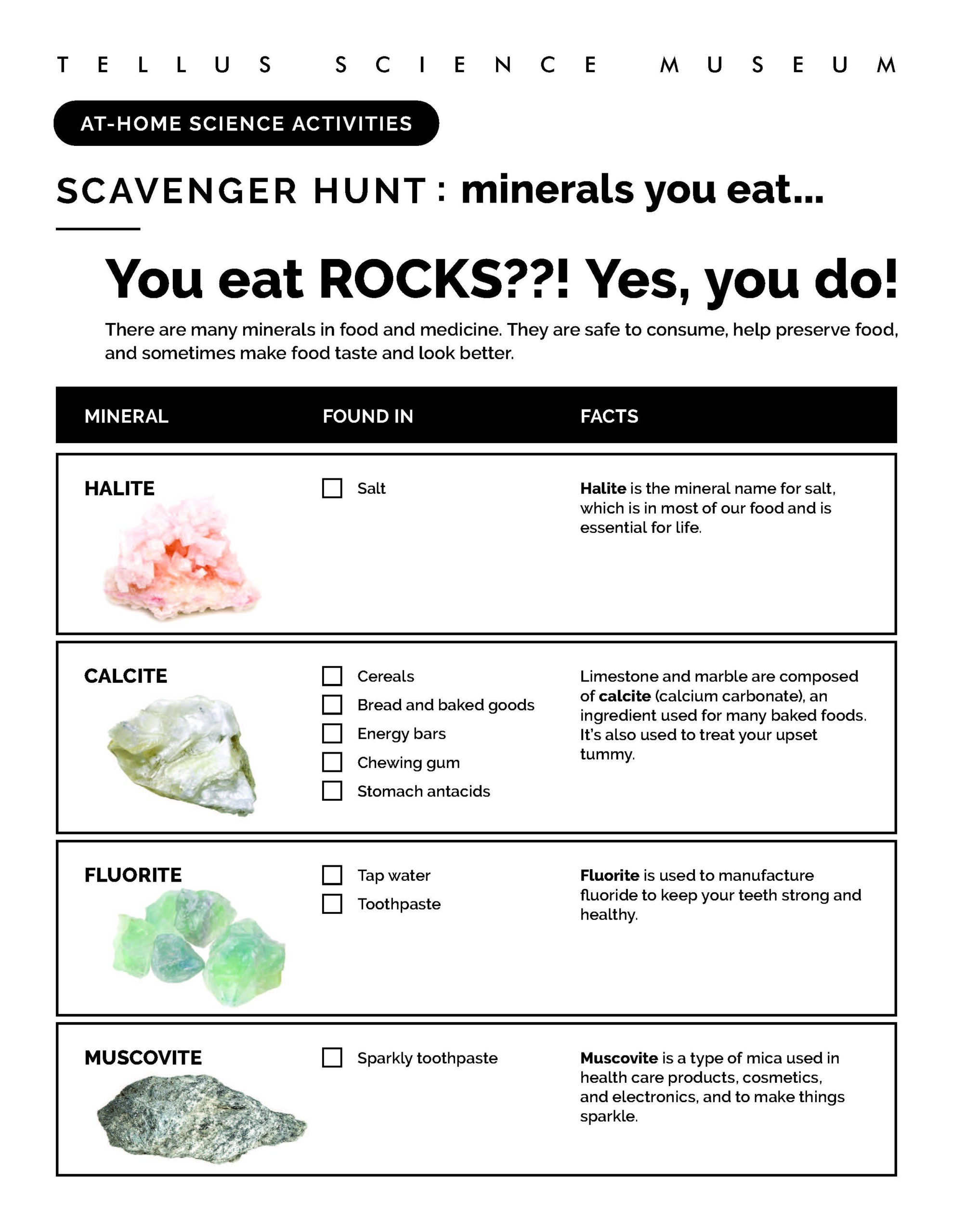#MuseumFromHome - Tellus Science Museum in Cartersville, GA