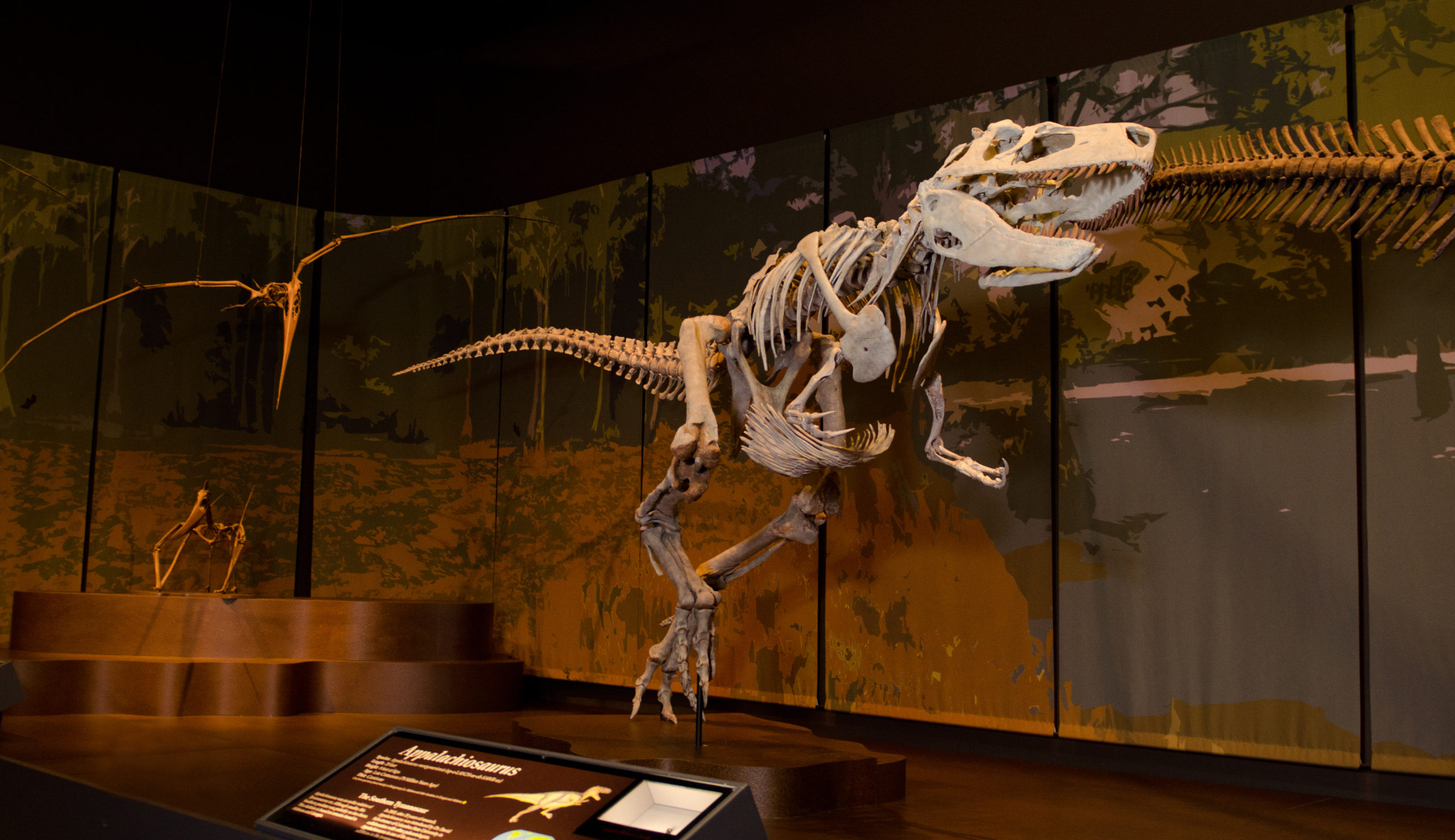 Appalachiosaurus - Tellus Museum in Cartersville, Georgia